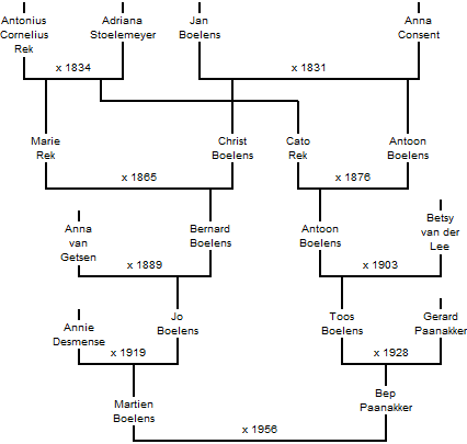 Bossche Encyclopedie | Martinus Elisabeth Maria Boelens
