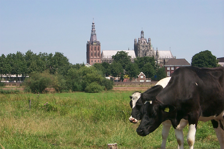 Bossche Encyclopedie | Het Bossche Broek