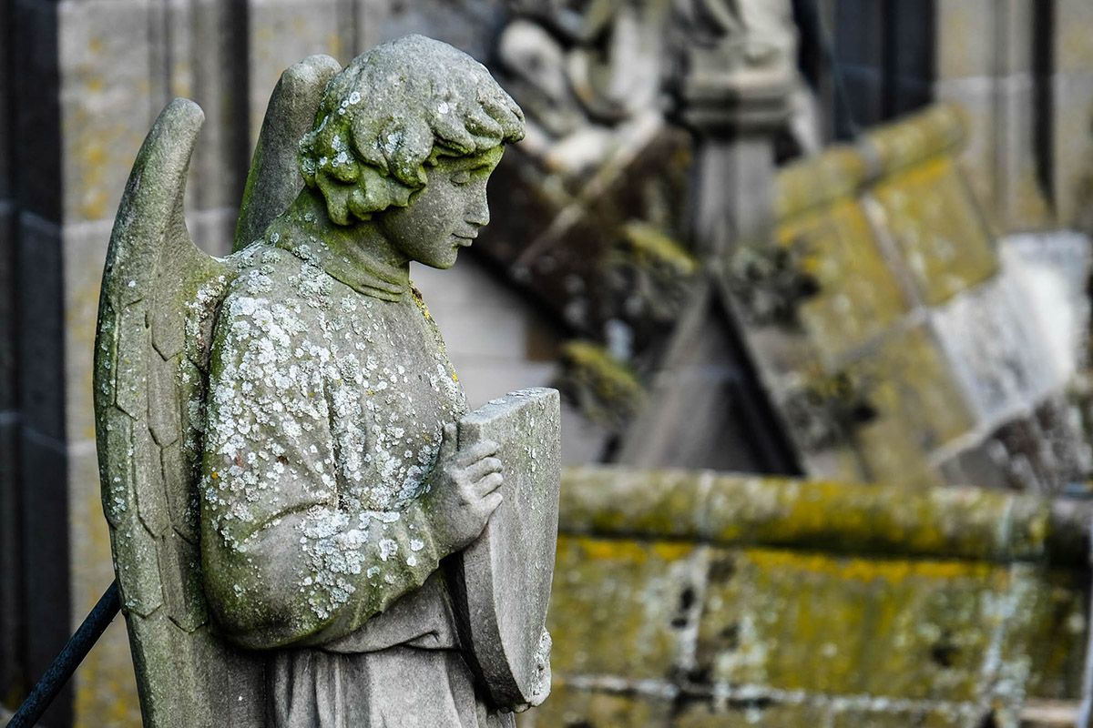 Bossche Encyclopedie | Engel met wapenschild