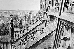 Bossche Encyclopedie | Erwtenman